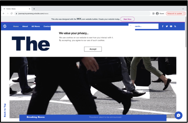 Usability Analysis of Privacy Controls - Appendix